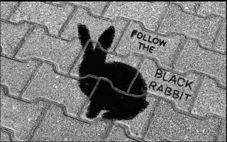 Bunny Fable Vol. 1 - Black Rabbit - Medium
