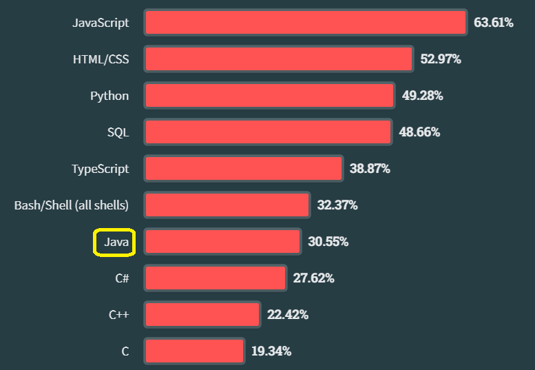 Java and Other Programming Language | by A-Ant Sultan Rahmanya | Medium