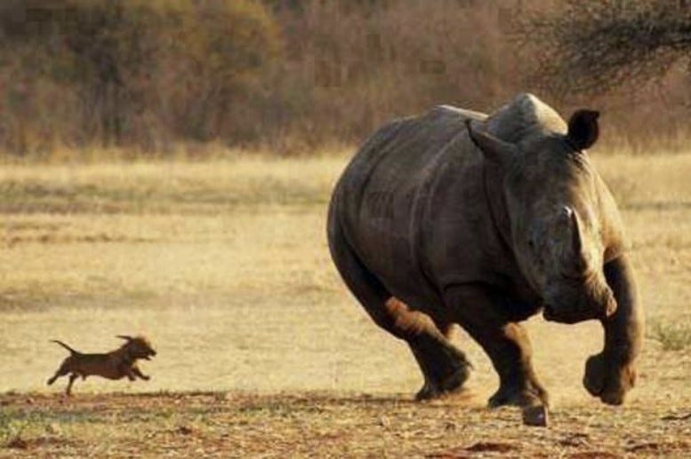 Comparison of Scalers in Python by Creating Real-World Synthetic Data | by Özgür SANLI | Python ...