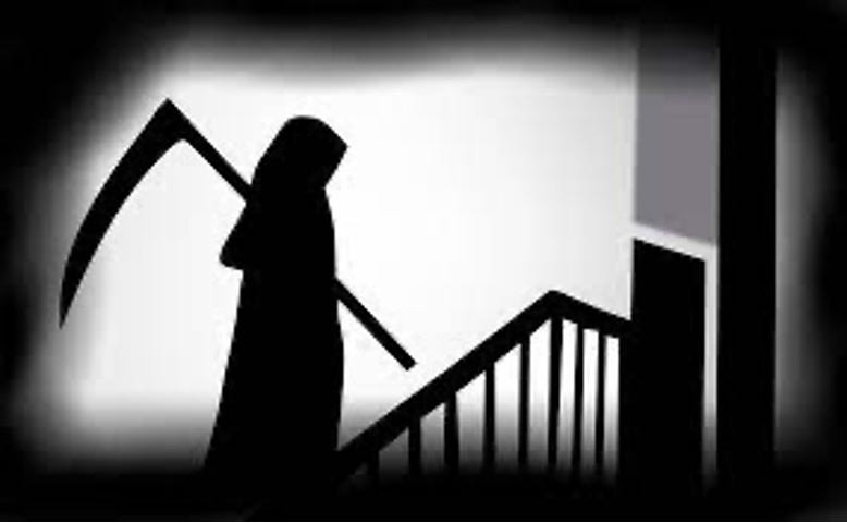 Thrills and Chills: The Evolution of Horror in the 2010s and the ...