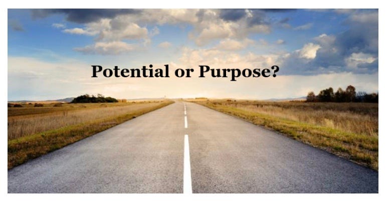 Potential vs. Purpose. We hear a lot about purpose and… | by ...