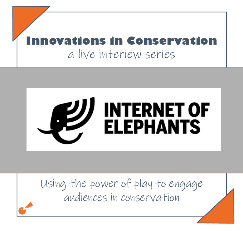 Innovations in Conservation: Internet of Elephants | by Brooke Tully ...