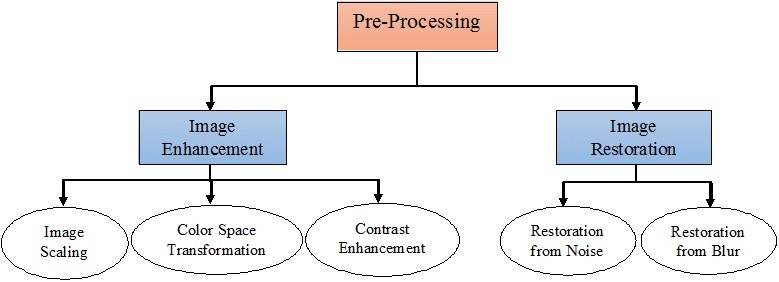Image Enhancement Techniques in Digital Image Processing | by PRAJAKTA ...