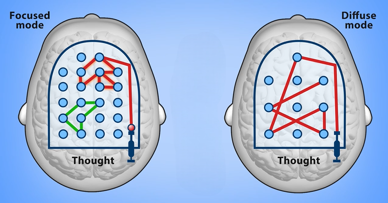 Focused vs. Free Mind. You know, sometimes when we are trying… | by Ali ...