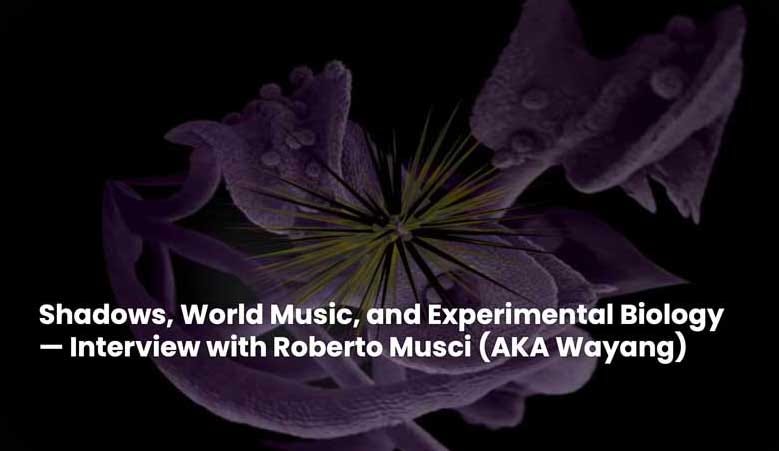 Shadows , World Music and Experimental Biology - Roberto Musci - Medium
