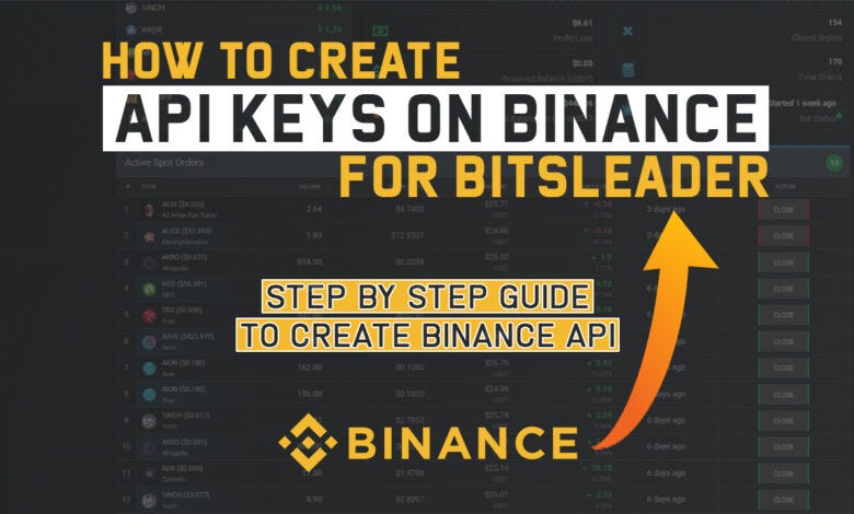 Step by Step Guide to Create Binance API Keys for Bitsleader | by ...
