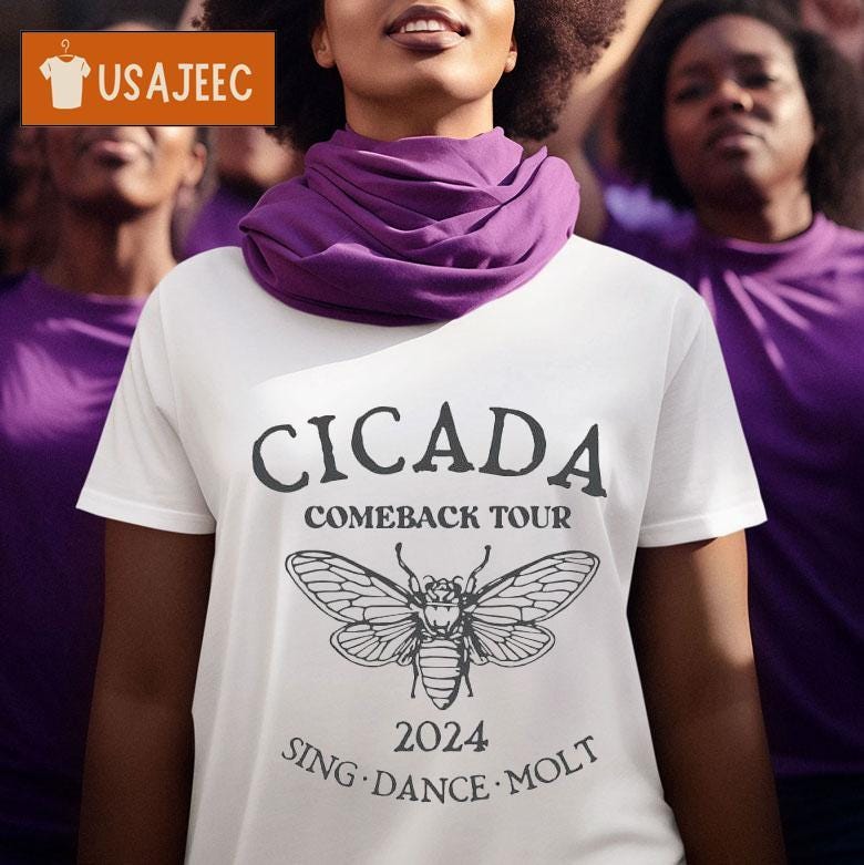 The Cicada Comeback Tour Sing Dance Molt 2024 Shirt - Dadmom - Medium