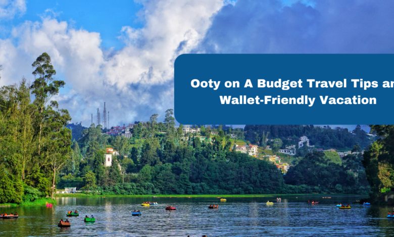 Ooty Tour Packages: Discover the Queen of Hill Stations | by Unify Holidays | Jul, 2024 | Medium