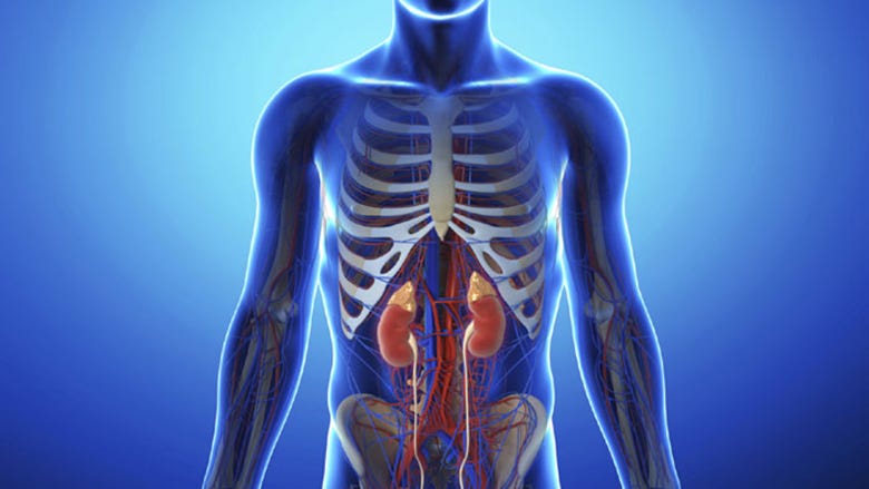 How Kidney Problem Can Affect Your Skin? | by Stem Cell Care India | Medium