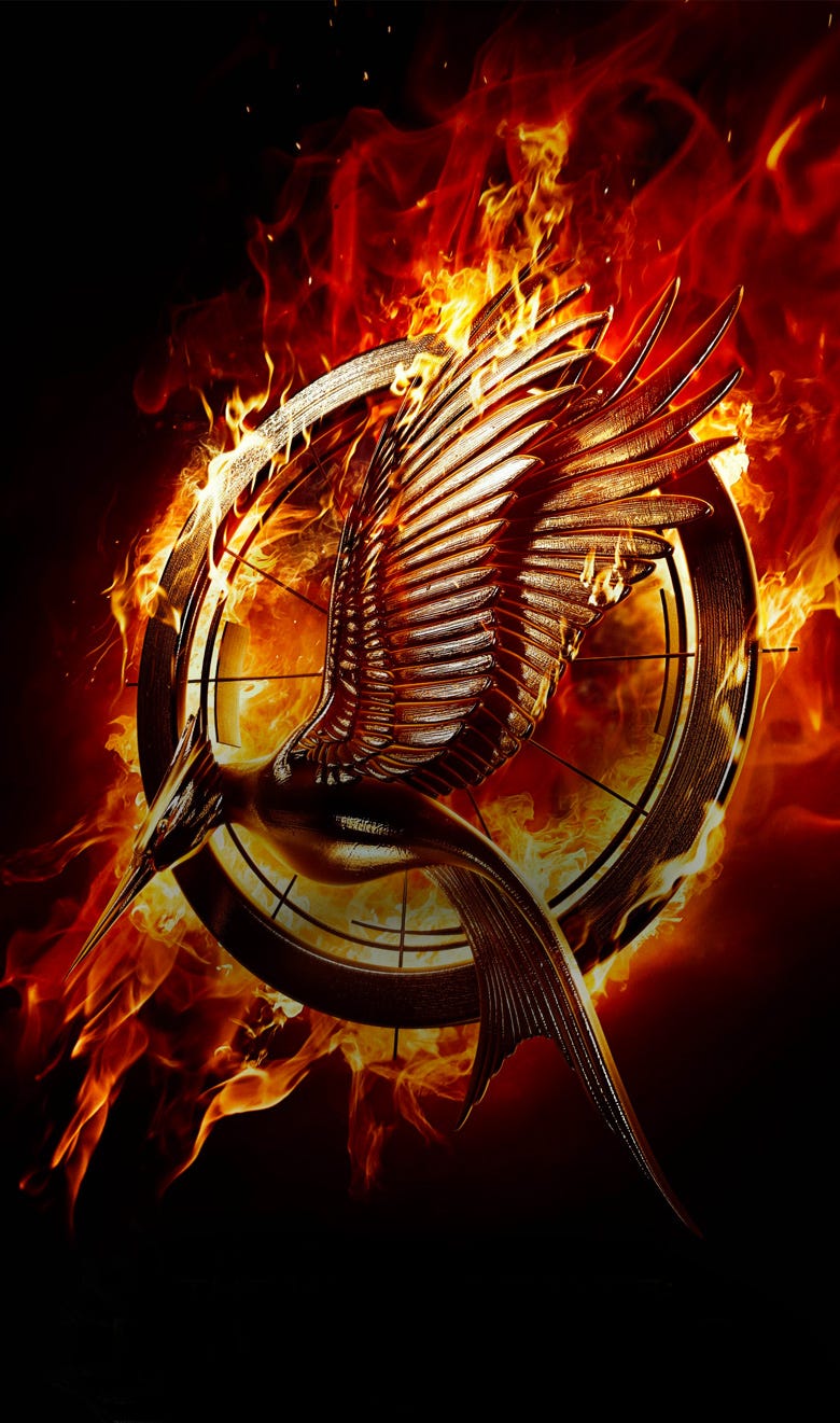 Summary of the book “The Hunger Games: Catching Fire” Written by ...