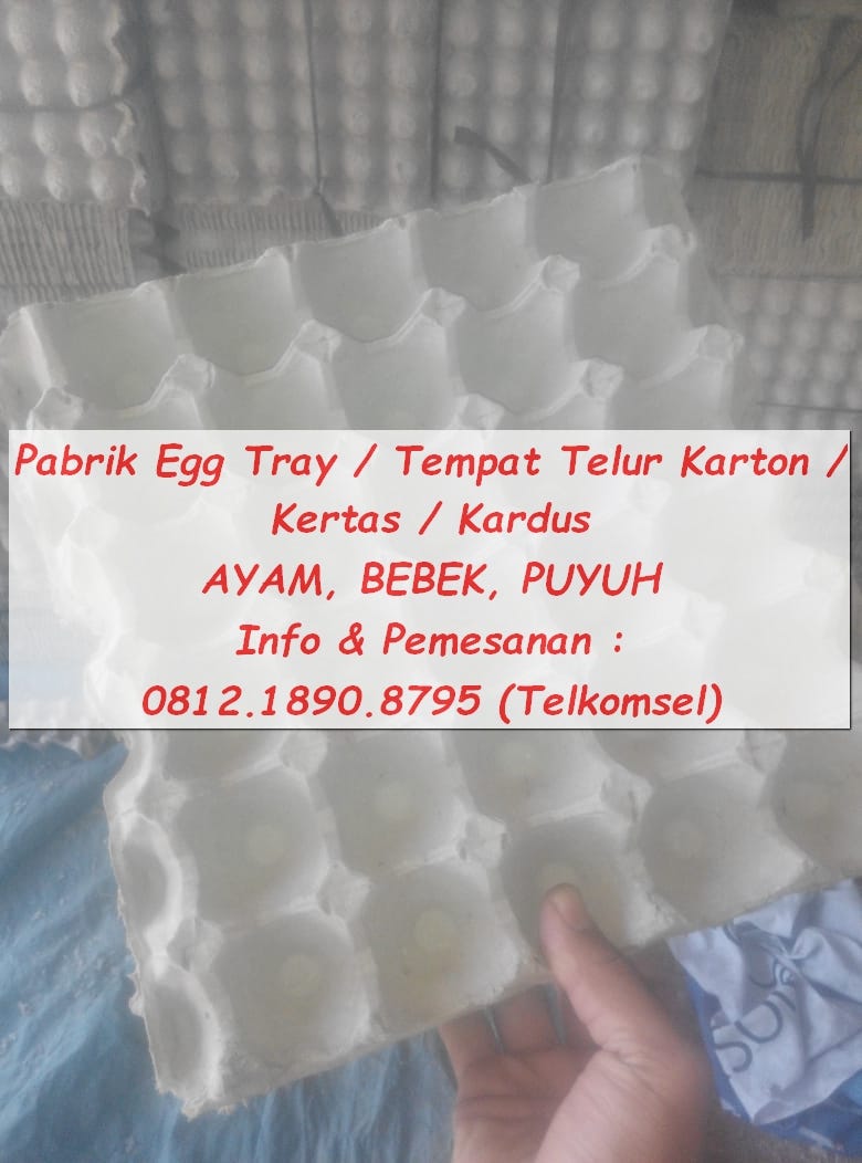 0812.1890.8795, Produsen Tray Telur Ayam Kertas Super KUDUS | by 0812. ...