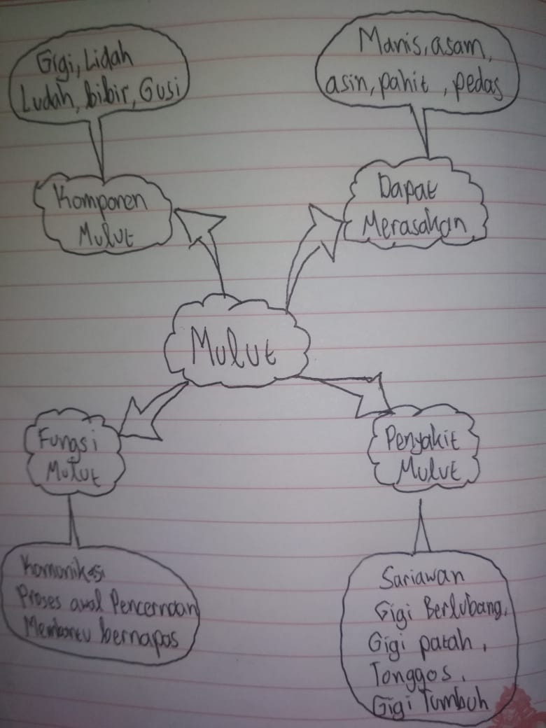 Memahami “Mulut”. Mulut merupakan anggota tubuh Manusia … | by jhon ...