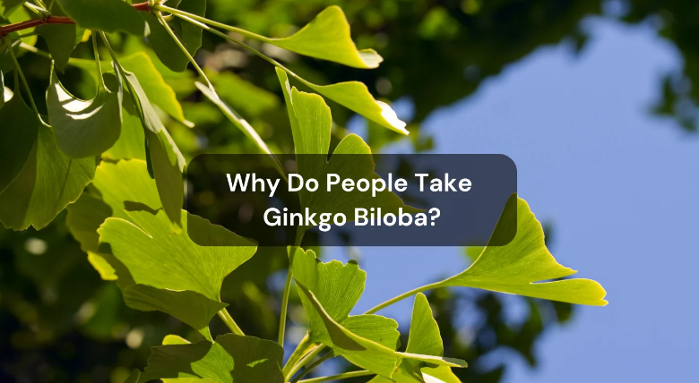 Learn About Health Benefits of Ginkgo Biloba, Dosage and Side Effects ...