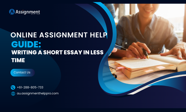 Online Assignment Help Guide: Writing a Short Essay in Less Time | by ...
