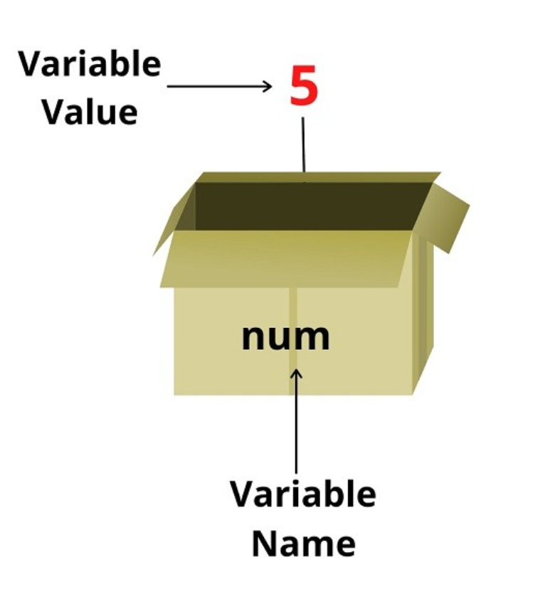 JS — How variables are stored during runtime - Mia Kim - Medium