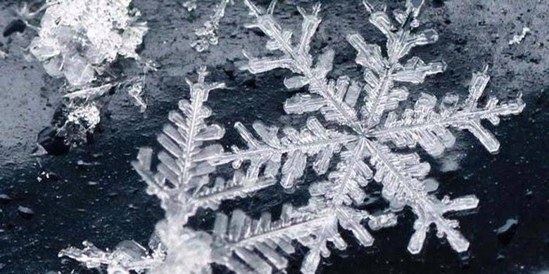 Cosmic Snowflake A Reflection on Scale, Reality, and Existence | by T ...