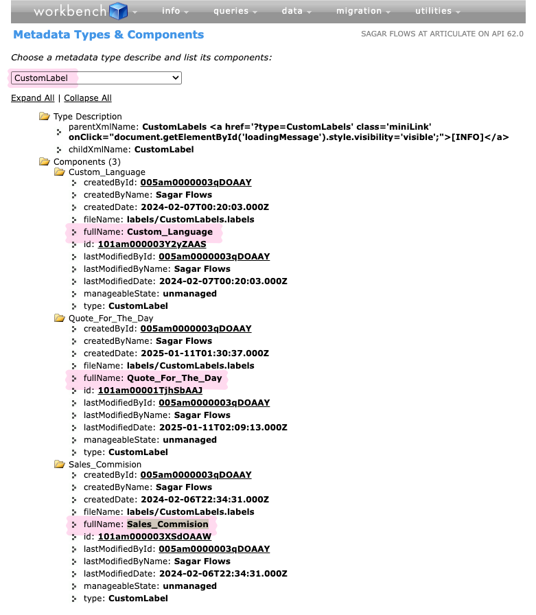 Custom Labels vs Custom Settings vs Custom Metadata. | by Sagar R | Medium