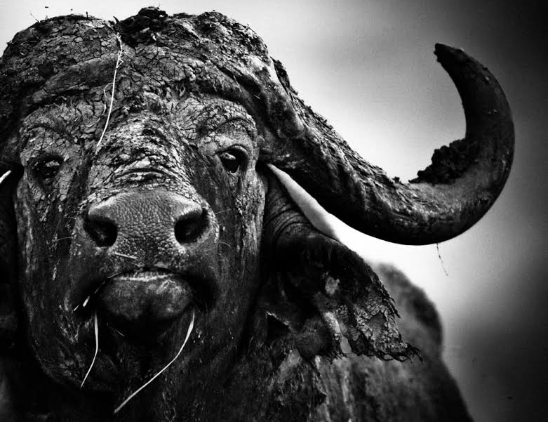 Install The Docker Scout And Sbom Plugins By Charles Vissol Medium