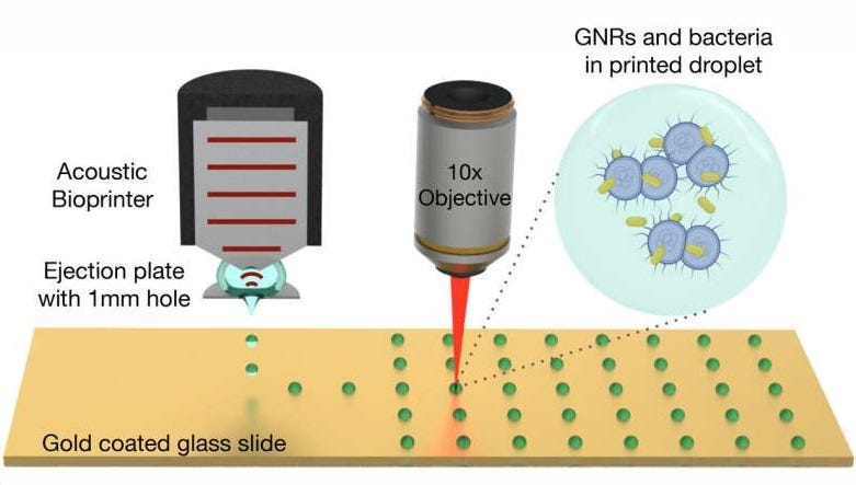 Scientists Discover the Fastest Way to Identify Bacteria in Fluids ...