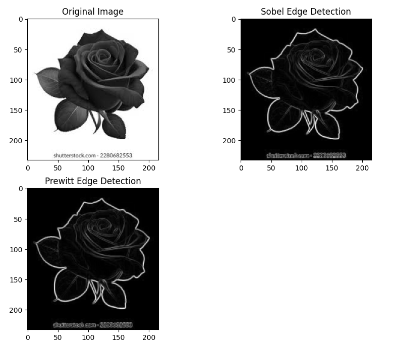 Exploring Edge Detection and Smoothing Techniques in Image Processing | by Afrahshaikh | Medium