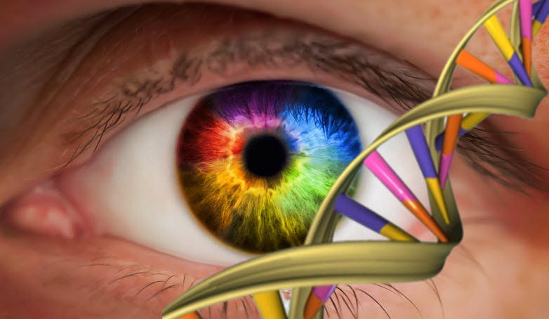 Our color vision is limited. Our eyes are not only a mirror of our ...