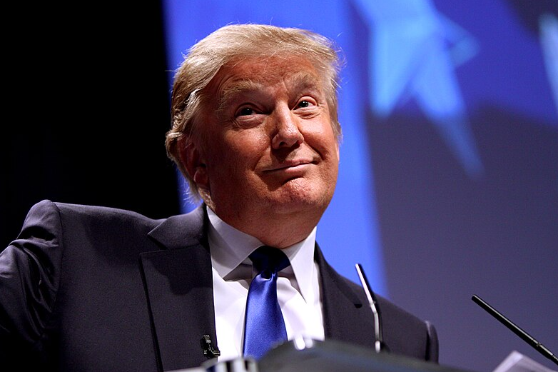 Sane-Washing Trump By NOT Reporting His Mental Collapse | by Fay Wylde ...
