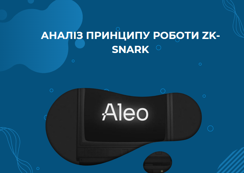 Аналіз принципу роботи zk-SNARK. Хоча криптовалютні транзакції не мають… | by Mark Primierov ...
