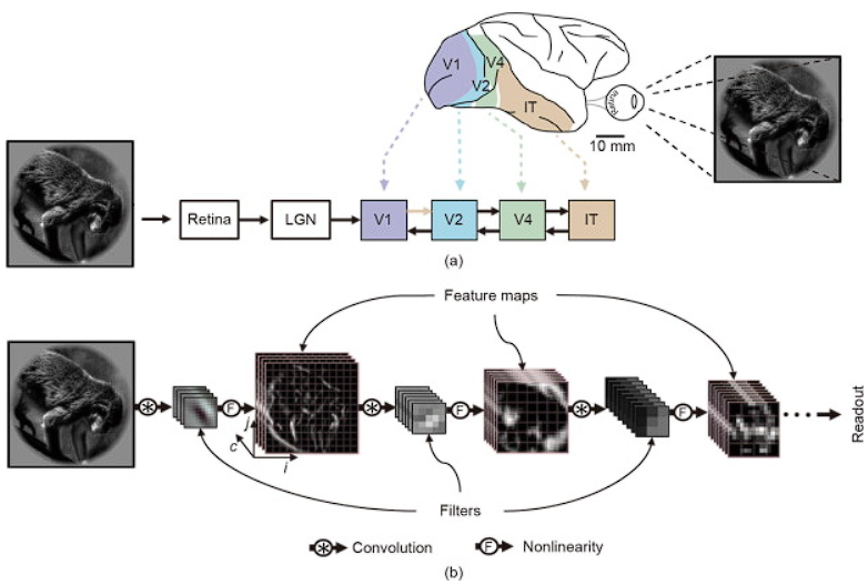 Machine Perception: How AI Sees and Understands the World | by ML Point ...