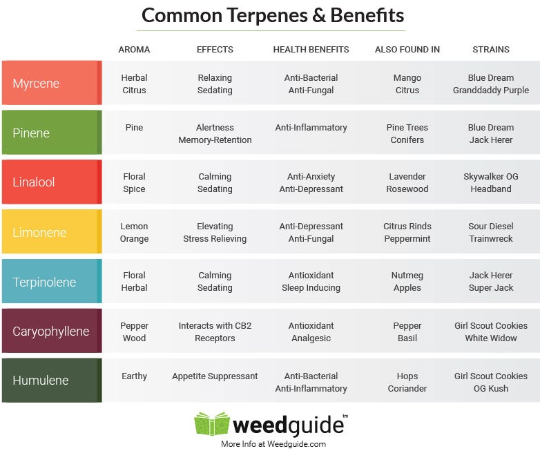 What are Terpenes and What Do They Do? | by Search Weedguide | Medium