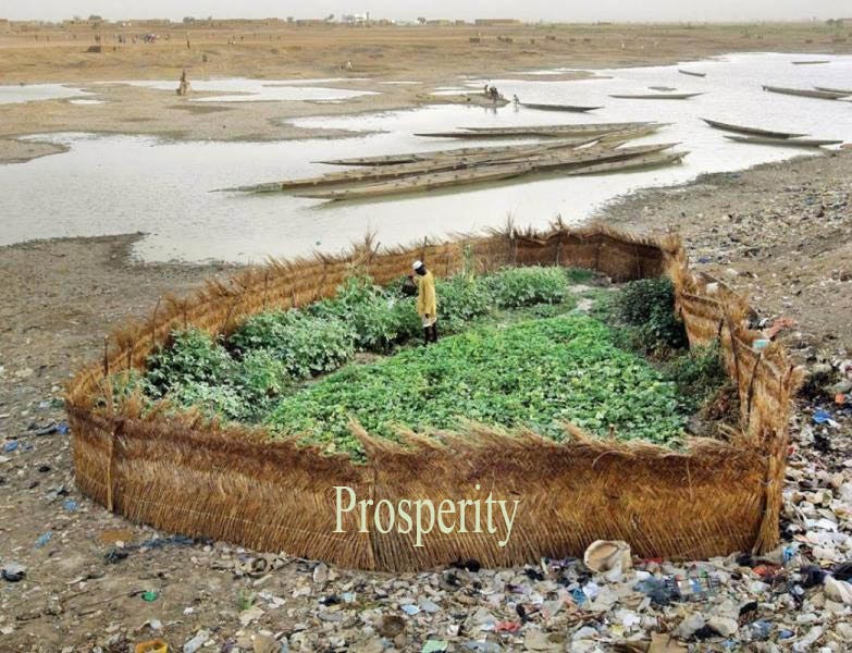 Alternative Farming. Non-fossil-fuel based food production | by Eric ...