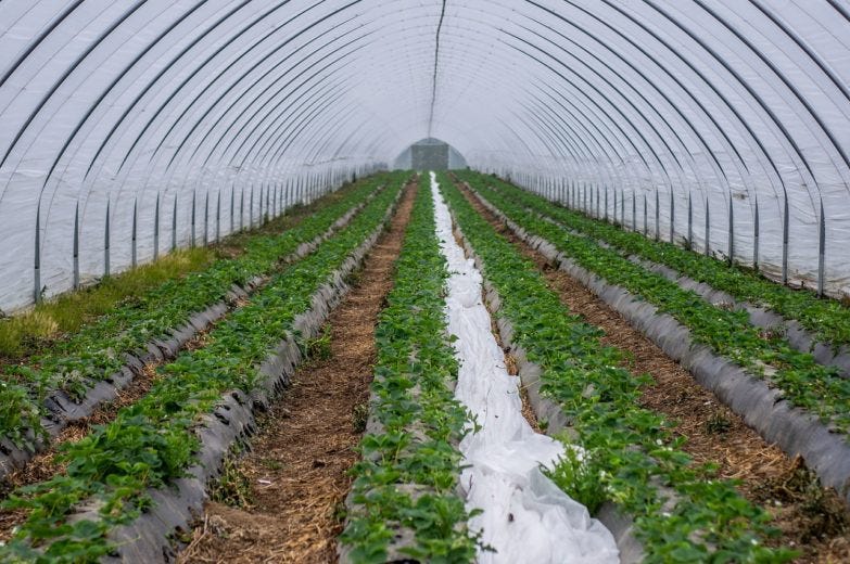 6 Green Farming Practices Shaping Up the Future of the Agriculture ...