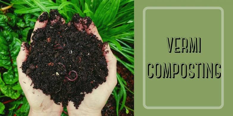 VERMICOMPOST : The best saviour of soil fertility. | by Karan hirwani ...