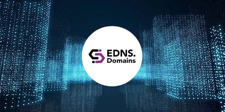 EDNS Domains | by Anthonygodswill | Dec, 2023 | Medium