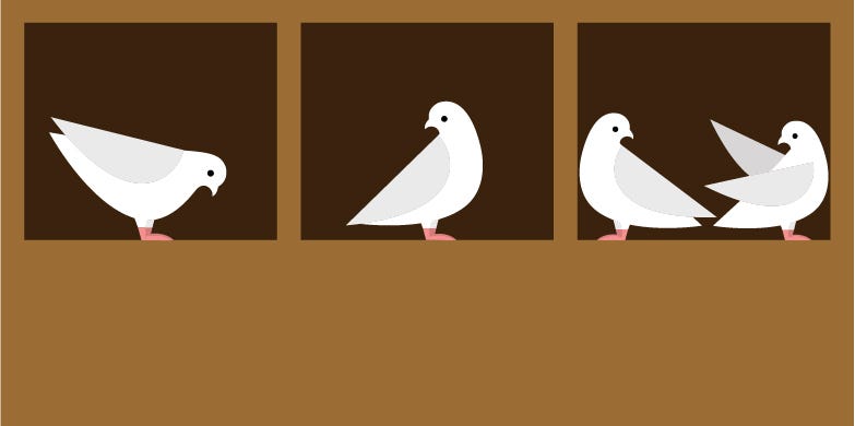 Pigeonholed. As I’ve started to speak with more… | by Jason Weingarten ...