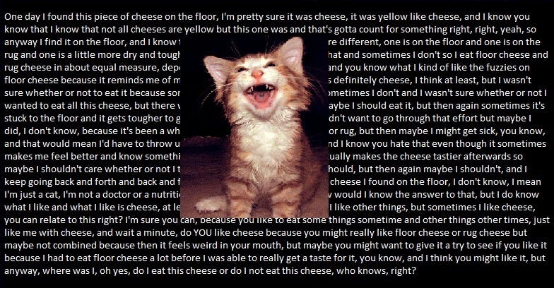 You Have a Boring Cat. Your cat just starts talking to you one… | by ...