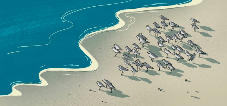 How to Leverage Productivity Ebbs and Flows for Maximum Efficiency | by ...