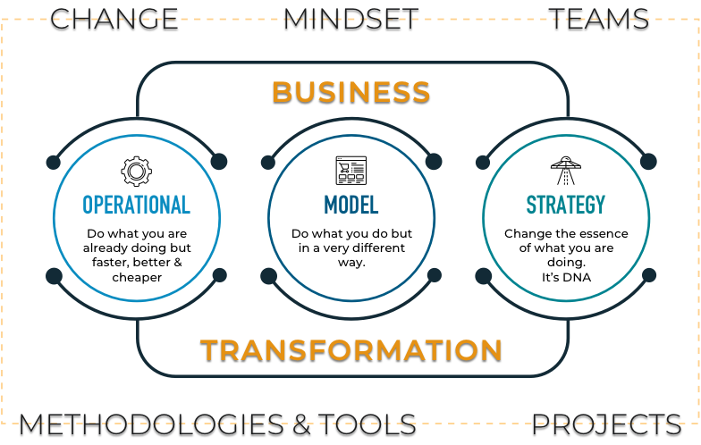 Understanding Business Transformation | by Ana Lucia Quiroz | Medium