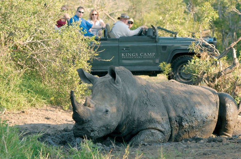 The History of Kings Camp. The History of Kings Camp — The Camp is ...