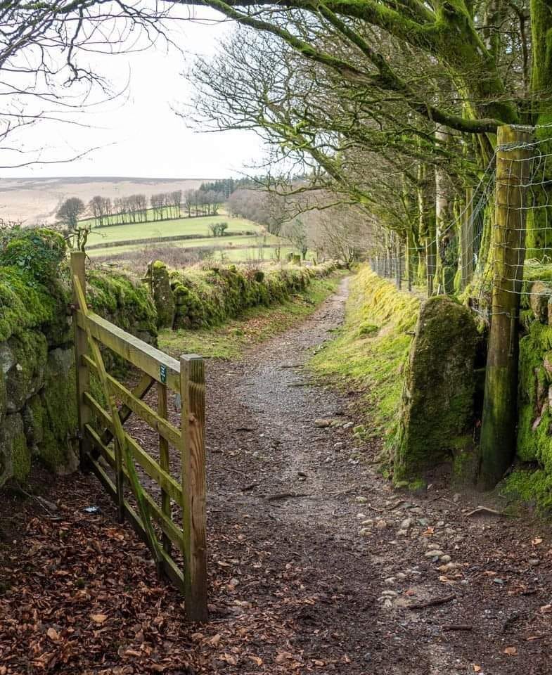 讀爛書是浪費時間 - Wes Chou (Joe) / 周應偉 - Medium