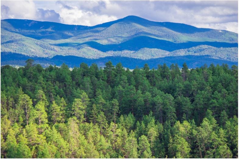 Say Hi to Shadow Mountain Santa Fe | by Shadow Mountain Recovery ...