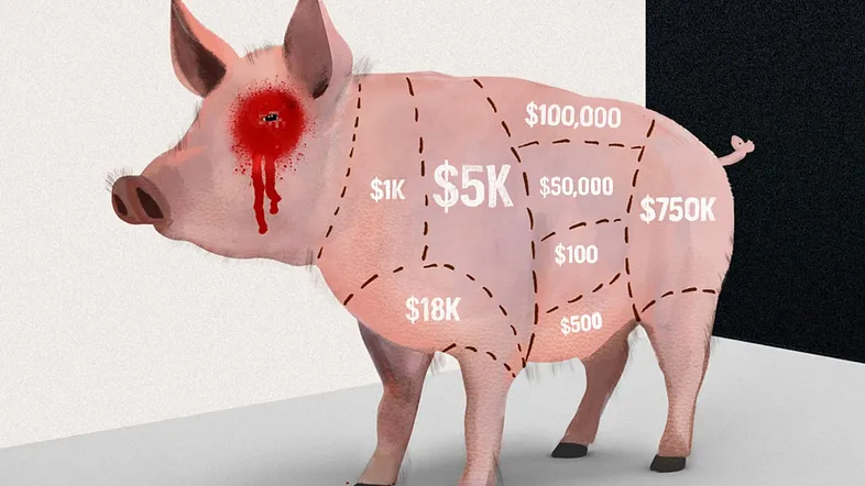 Understanding Pig-Butchering Scams: Psychological Manipulation Tactics ...