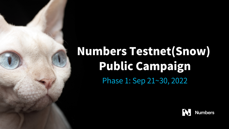 Numbers Testnet(Snow) Public Campaign | by Akash | Medium