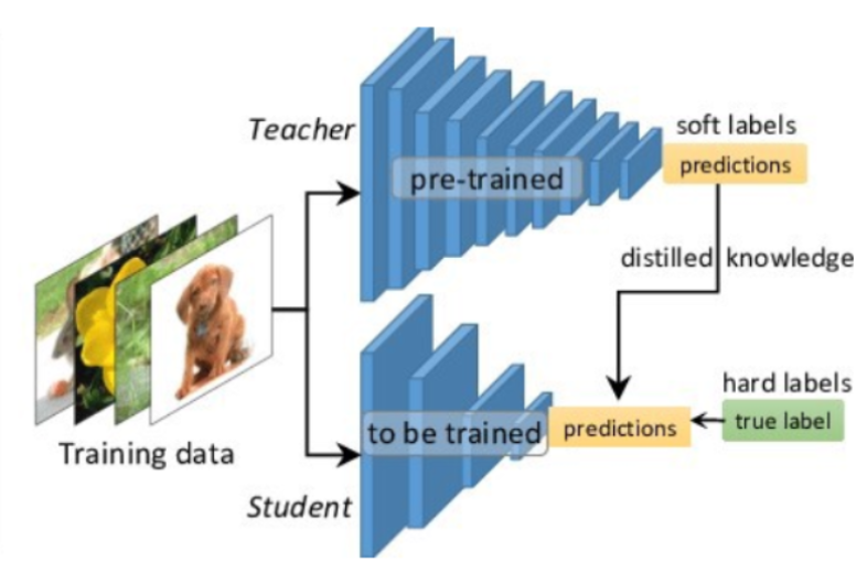 Distillation Learning — TensorFlow Tutorial | by Dr Roushanak Rahmat ...