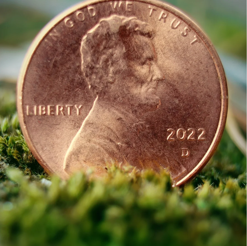 10+ Signs You Are Not Frugal But Cheap | by PomeroySays | Sep, 2025 ...