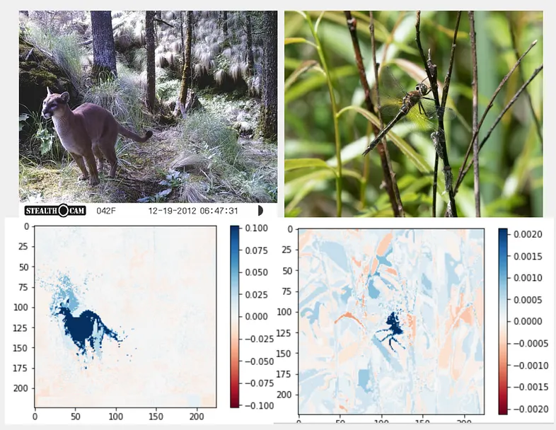 Dbscan For Image Segmentation And Clustering How Does It Work Data