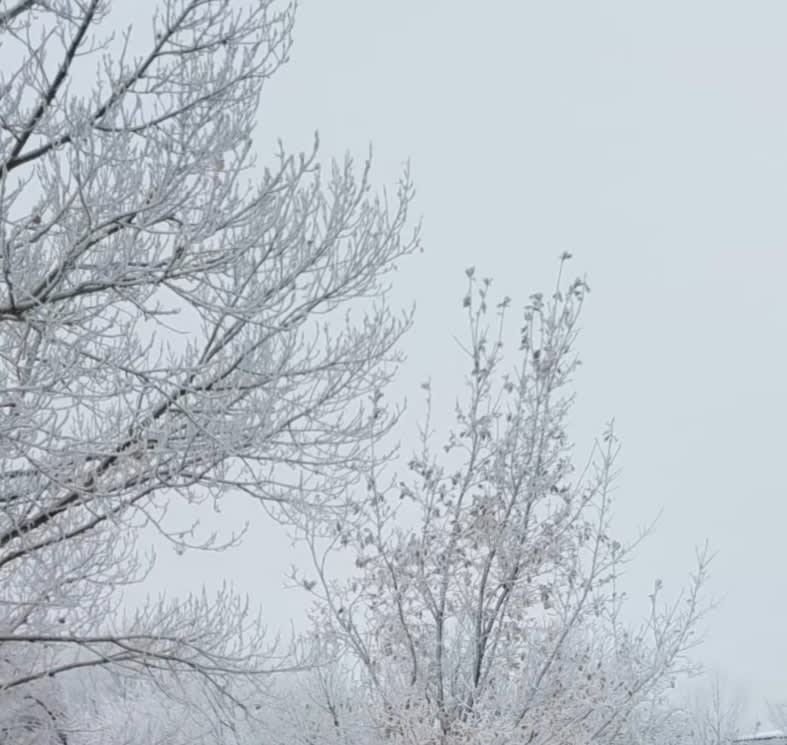 9. First Snow. A Winter Sonnet | by Paula Shablo | the Challenged | Medium