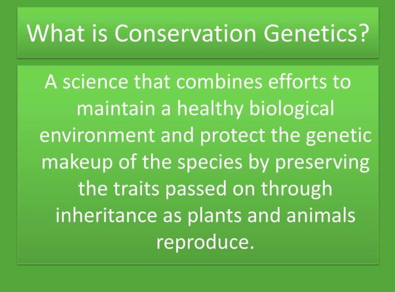 Wildlife Conservation genetics | by Animals Birds Info | Jun, 2024 | Medium