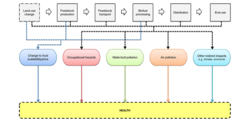 The impact of biofuel pollution on human health and mortality: which is ...
