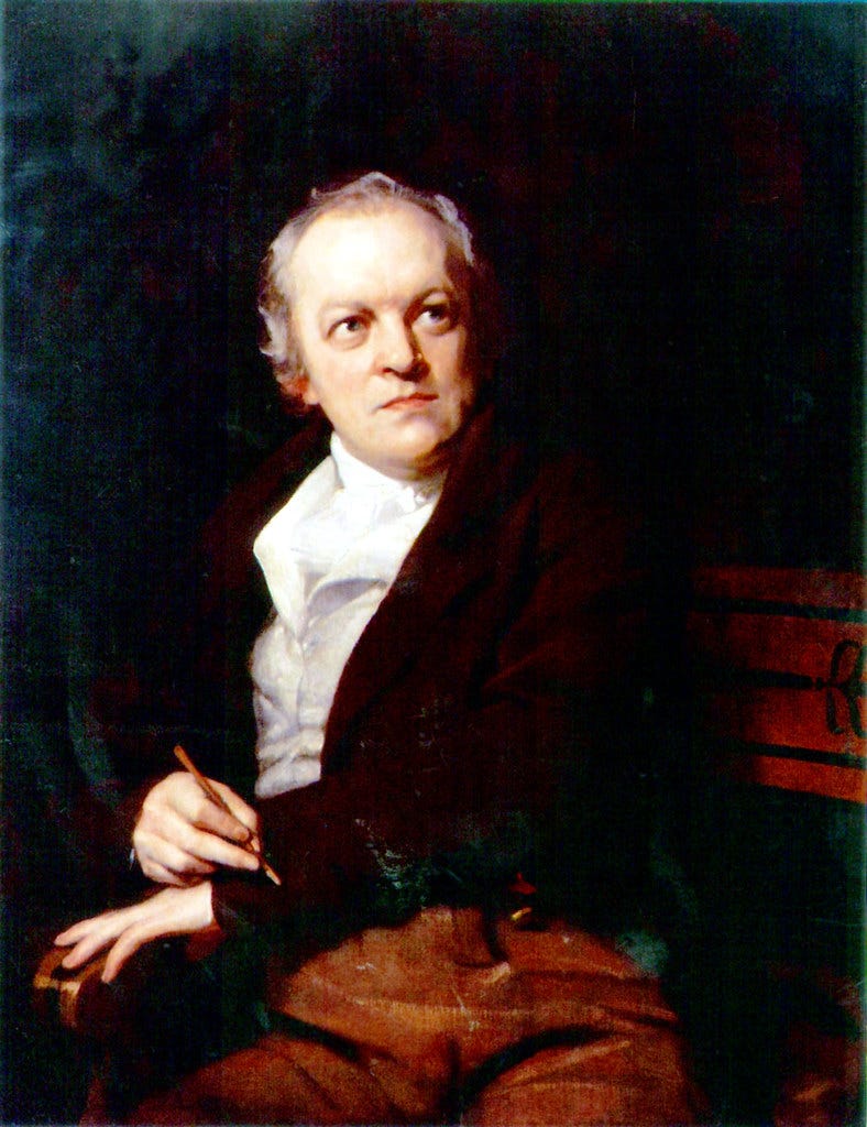The Fly: A Poem by William Blake. A look at one of his “Songs of… | by ...