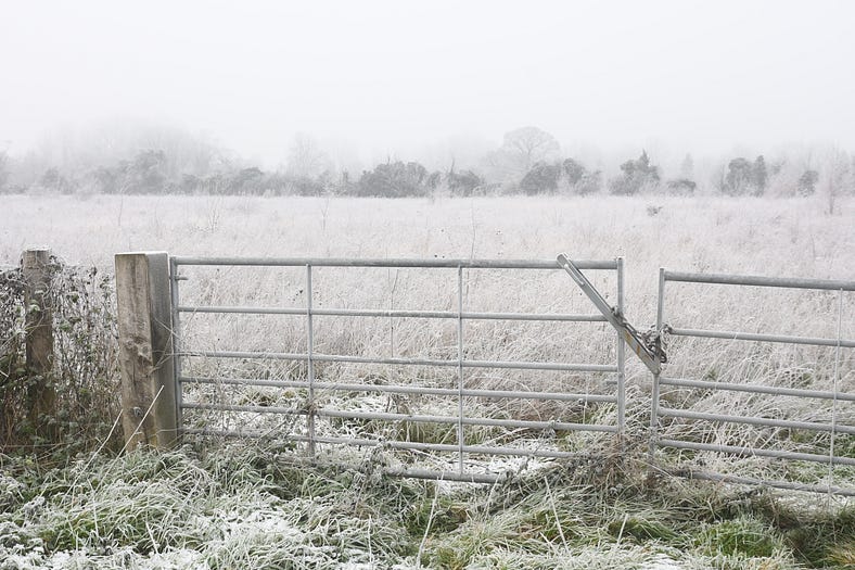 Wintry Scenes from Frosty England | by Susie Kearley | Good Vibes Club | Dec, 2023 | Medium
